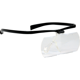 Lesa 1.6x Fit over Frame Magnifier