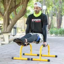 Lebert Fitness Parallettes Bars