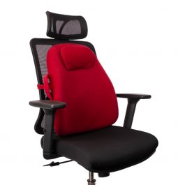 AlEssa Medical Obus Forme Low Back – Black