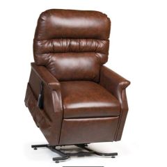 Buy Lifting and Reclining Chairs Online at best price - Alessa Medical ...