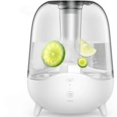 Buy Nebulizer & Humidifiers Machine Online at Best Price - Alessa ...